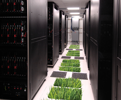 Green Data Centers: Environmentally Sustainable IT Growth
