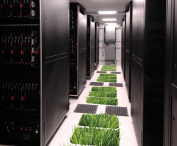 Green Data Centers: Environmentally Sustainable IT Growth