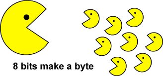 A Brief History of the Gigabyte